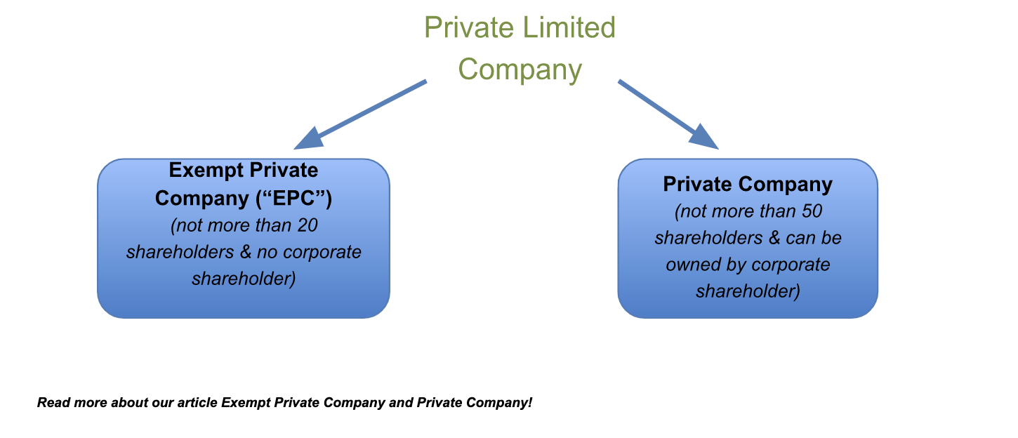 Private Limited company singapore